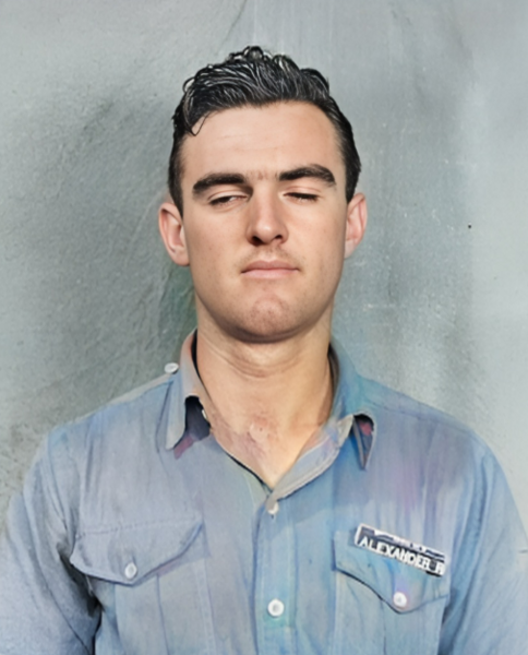 Virtual War Memorial | William Robert Edward ALEXANDER